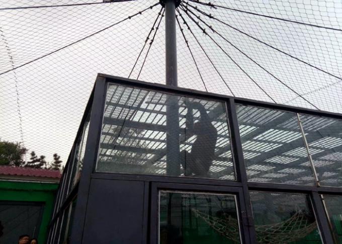 Metal Bird Netting Wire Mesh , 1.2mm Flexible Stainless Steel Woven ...