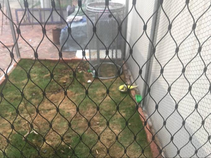 Ferruled Aviary Wire Stainless Steel Bird Mesh Netting For Visitor ...