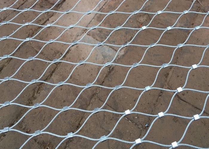 Yuntong SS 316 Wire Rope Plant Trellis System For Plants Climbing ...