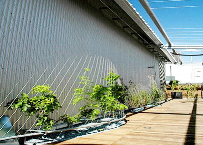 SS316 Green Wall Mesh / Ferruled Type Stainless Steel Wire Cable Mesh