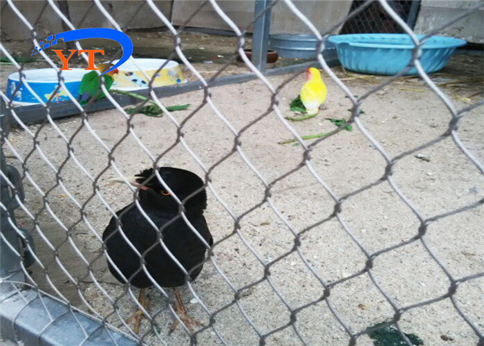 Ferruled Stainless Steel Rope Mesh / Bird Mesh Netting 7*7 / 7*19 Structure