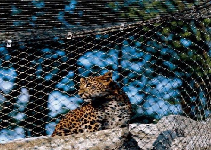 High Durability Animal Enclosure Mesh Lightweight With Woven Type ...