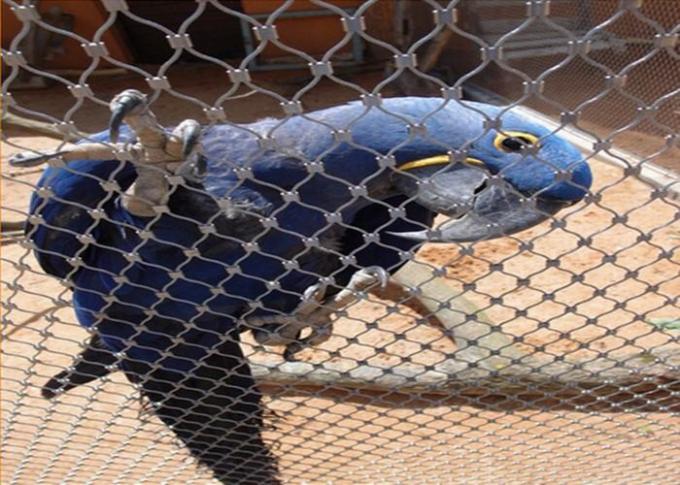 5mm Stainless Steel Bird Mesh